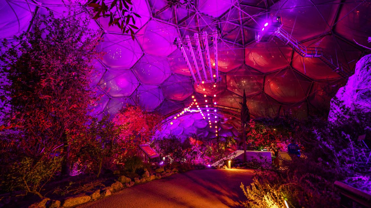 Christmas at the Eden Project | Eden Project
