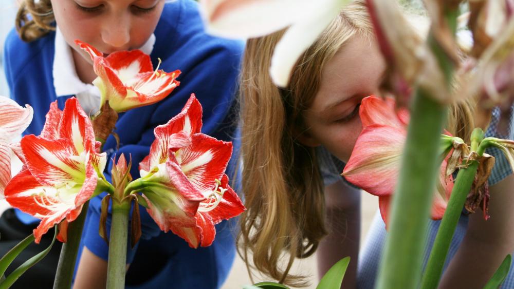 Schools | Eden Project