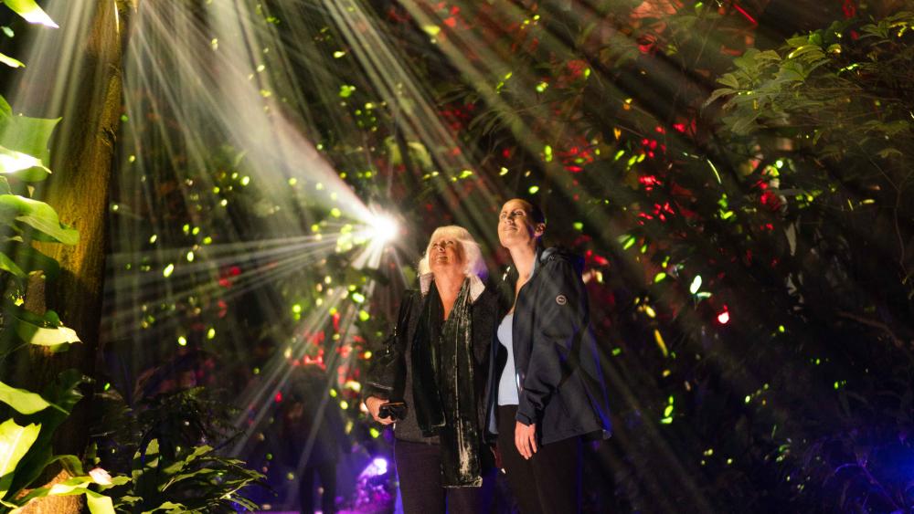 Christmas at the Eden Project | Eden Project