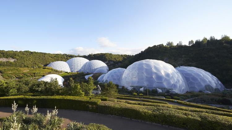 Eden plans new Emergence Academy and plant nursery beyond the Biomes ...