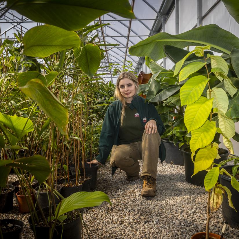 The Ultimate Eden Experience | Eden Project