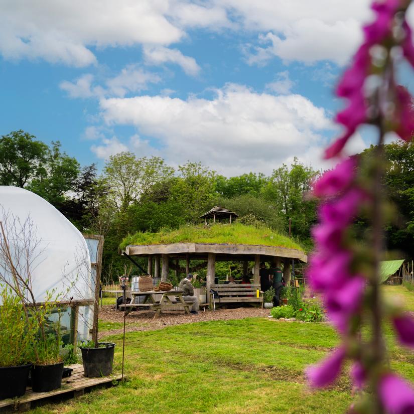 The Ultimate Eden Experience | Eden Project